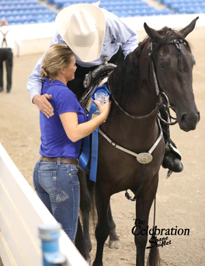 Home | The Walking Horse Report