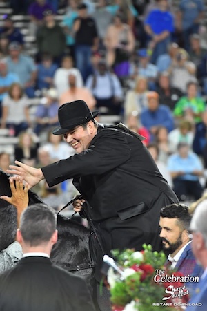 Home | The Walking Horse Report